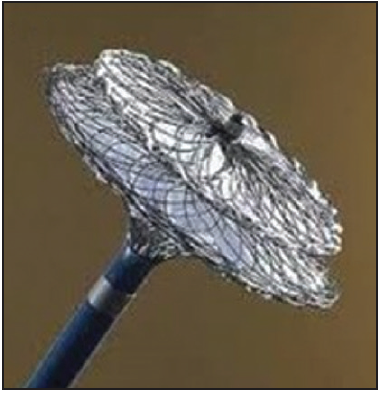 The Spectrum of PFO Closure Devices - Cardiac Interventions Today