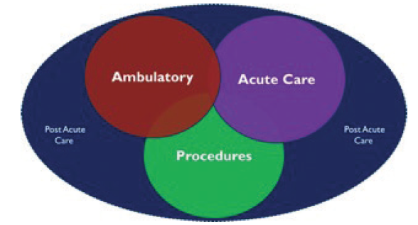 The High-Performing Cardiovascular Service Line: Evolving Leadership ...