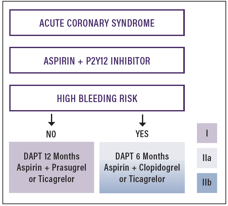 Key Factors for Clinical Decisions When Treating Patients at High ...