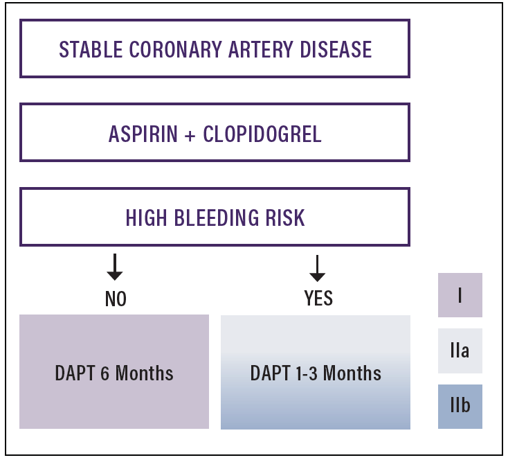 Key Factors for Clinical Decisions When Treating Patients at High ...