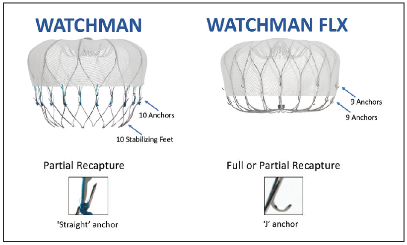 Update on Left Atrial Appendage Occlusion - Cardiac Interventions Today
