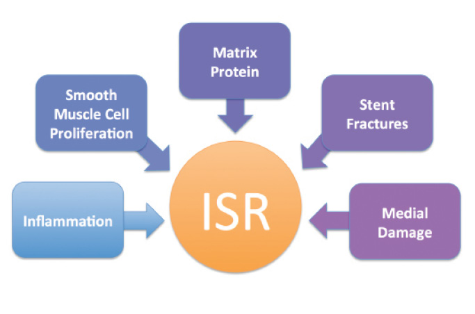 What Does Histology Say About Vessel Preparation in Femoropopliteal ISR ...