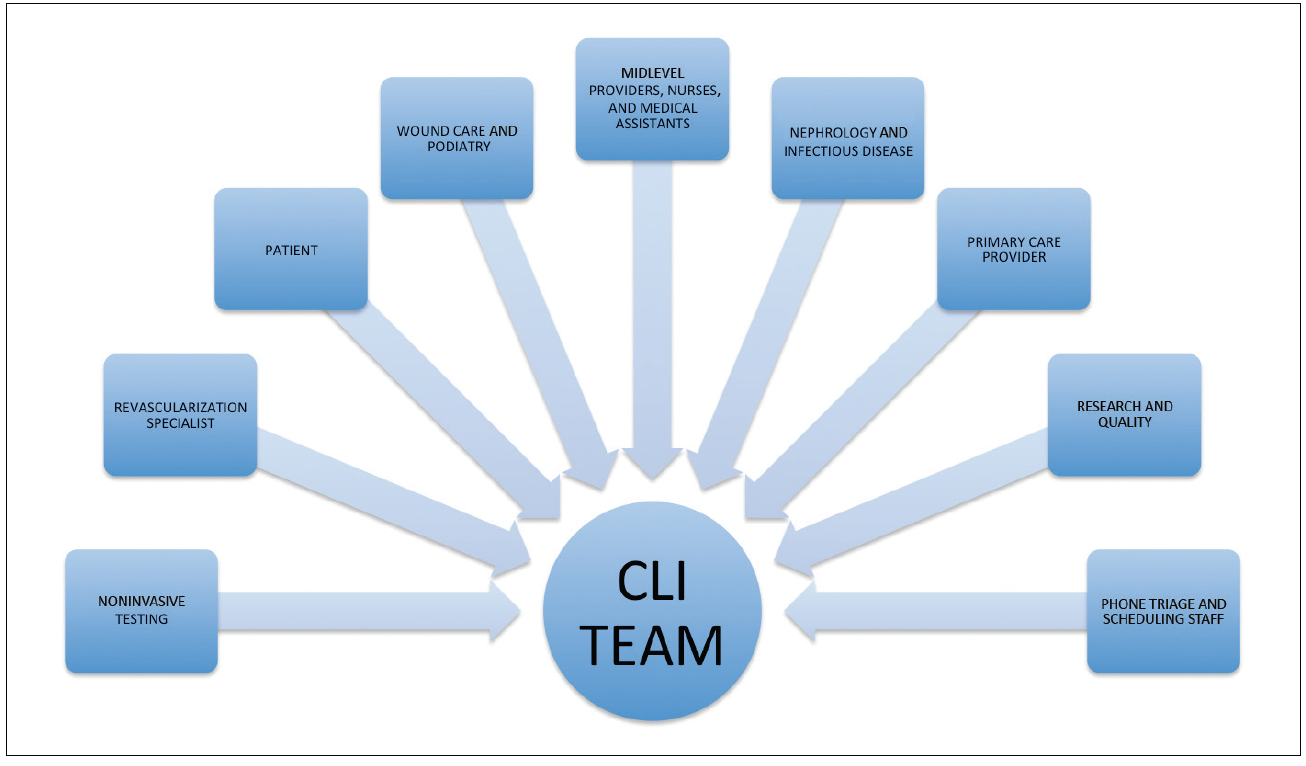 Building a Comprehensive CLI Program - Endovascular Today
