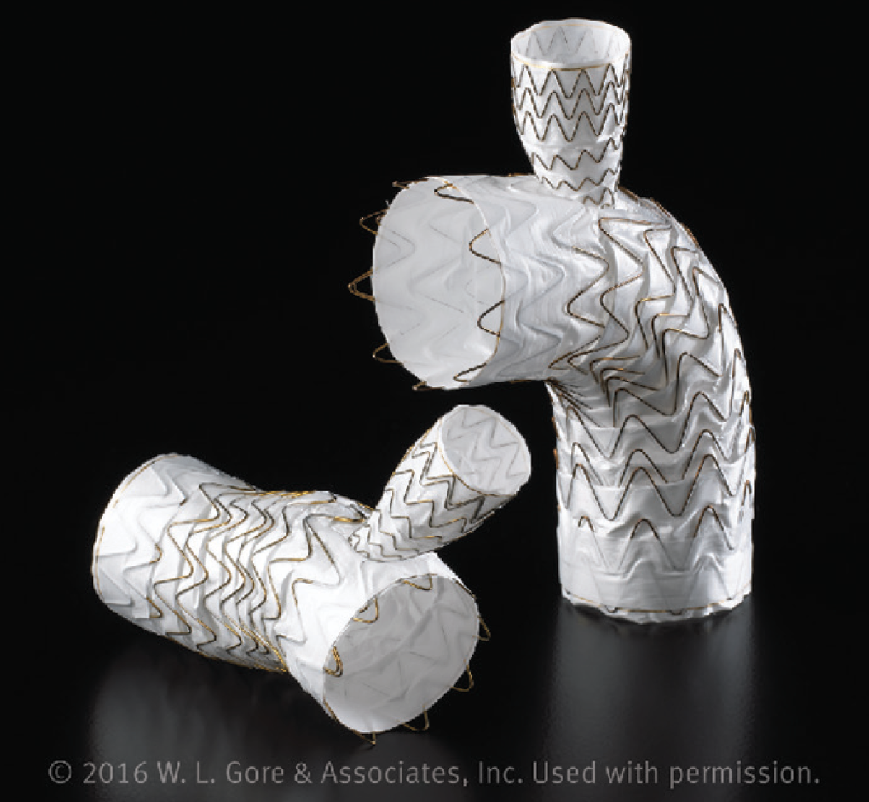 Thoracic Branch Endoprosthesis: Early Case Experience and the Clinical ...