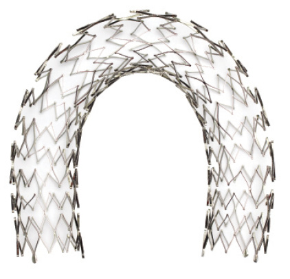 Innovations - Endovascular Today