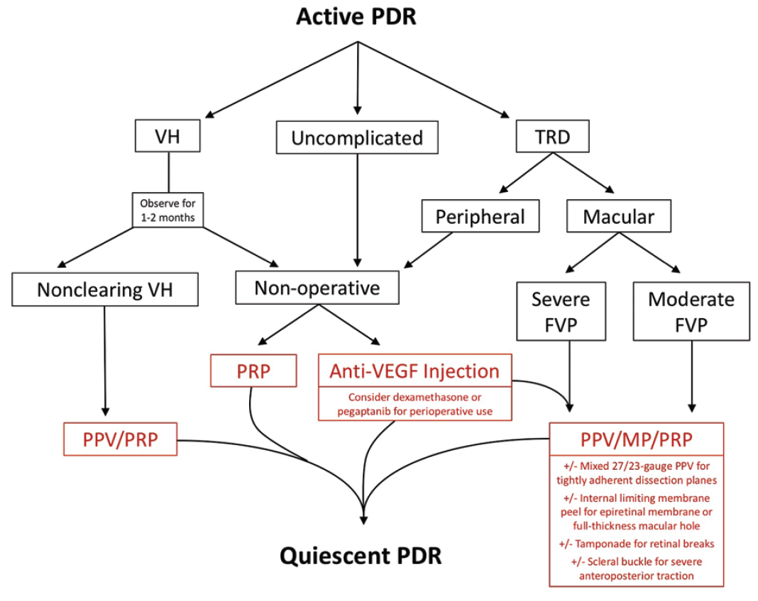 Surgical Approaches to Managing PDR - Retina Today