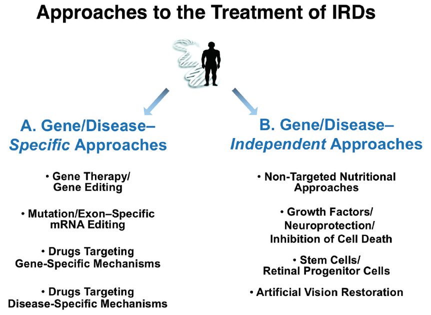 Treating IRDs: Gene-Specific and Gene-Independent Approaches - Retina Today